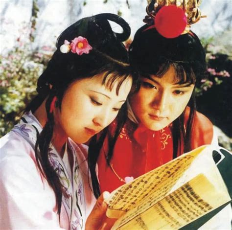 一部红楼梦从人名到诗词美了三百年 袭人
