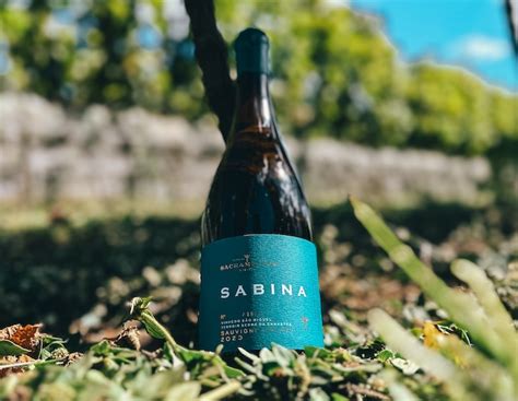 Sacramentos Vinifer lança Sabina Sauvignon Blanc novo rótulo da