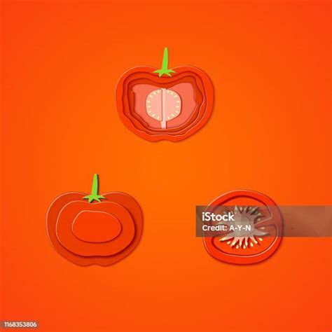 종이 컷 빨간 토마토의 집합입니다 벡터 종이 컷 디자인 식품 포장의 디자인에 대한 잘 익은 토마토 전체 및 슬라이스의 형태로 벡터 그림입니다 종이 아플리케 아트 스타일