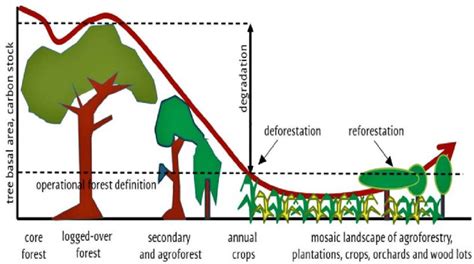 Forest Transition Curve Download Scientific Diagram