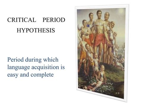 Universal Grammar Ppt