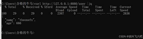 Curl格式化json之jq工具？ Csdn博客