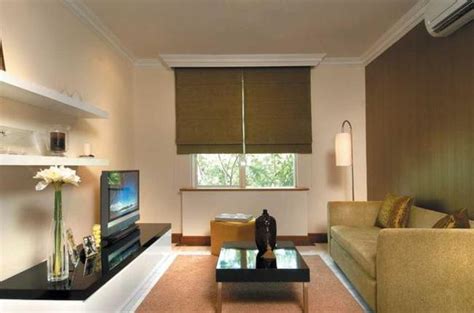 Inspirasi Interior Dan Eksterior Rumah Nuansa Warna Hijau Lumut Terang