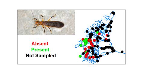 Citizen Science Data Show Temperature Driven Declines In Riverine Sentinel Invertebrates