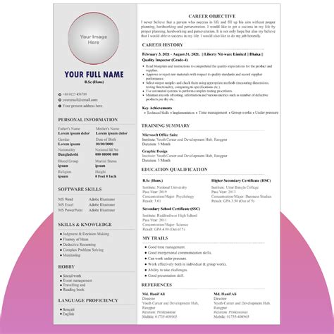 Resume Format 1 Job Experience