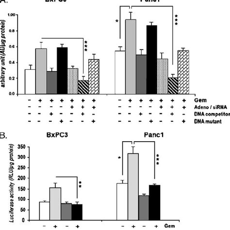Pancreatic Tumor Cells Sensitivity To Gemcitabine A Gemcitabine