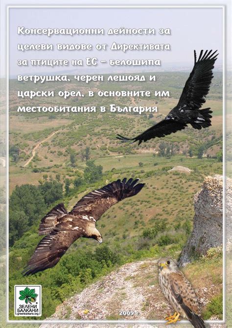 Зелени Балкани стартира Европейски проект за опазване на редки видове птици