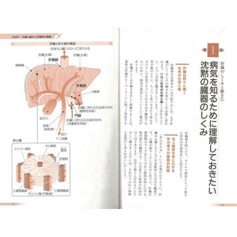 【バーゲンブック】肝臓病の治療と食事療法組み合わせ 日東書院 通販 ビックカメラcom