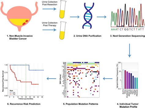 Molecular Oncology Vol 18 No 2