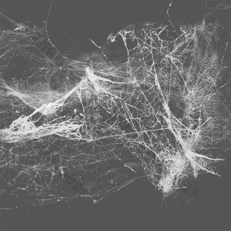 Horror Shabby Spider Web Effect Png Images Psd Free Download Pikbest