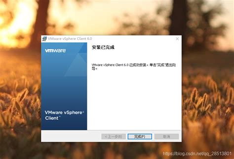 无法启动服务，原因可能是已被禁用或与其相关联的设备没有启动 Win 10 安装vmware Viclient报错28173内部错误28173