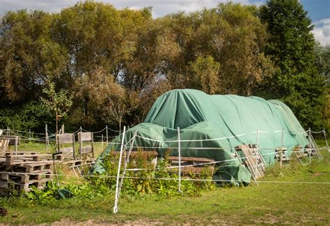 Dsc0695 Linnert Woodhead Flickr