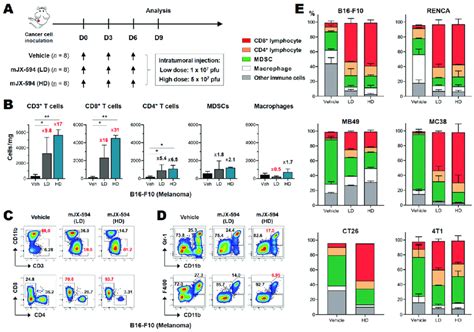 Profound Cd8 T Cell Activation And Decreased Expression Of