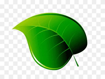 Baixar Folha Cartoon Png PNGWing