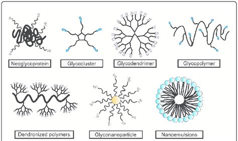 Examples Of Multivalent Glycoconjugates Inhibiting Microbial Binding