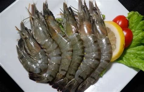 Produk Sentra Ikan Laut Fresh Frozen