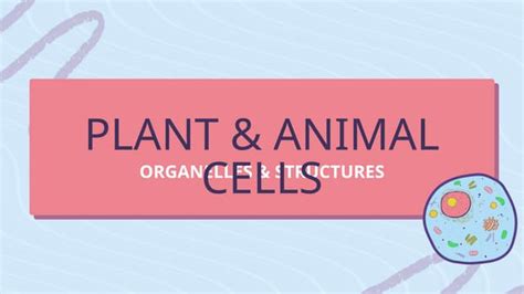 Elodea Plant Cell Structure Pdf