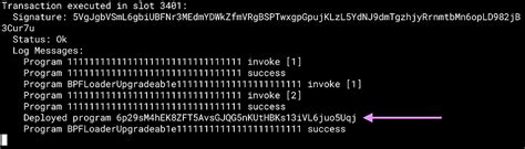 Solana Programs Are Upgradeable And Do Not Have Constructors