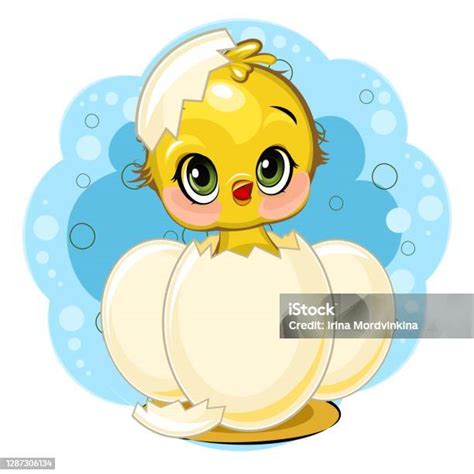 달걀에서 부화한 작은 병아리 재미있는 병아리 귀엽고 재미있는 아기 새 흰색 배경의 격리된 개체입니다 그림 만화 스타일 벡터