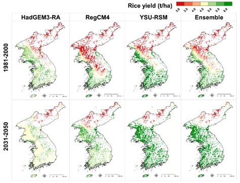 Estimated Crop Yield Using Multiple Regional Climate Models Rcms In Download Scientific