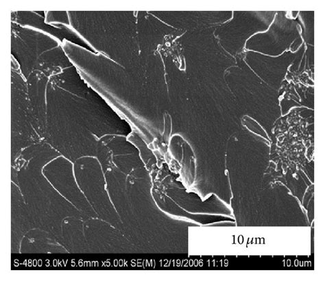 Sem Micrographs Of Epoxy Nanocomposites A Neat Epoxy B 07 Wt
