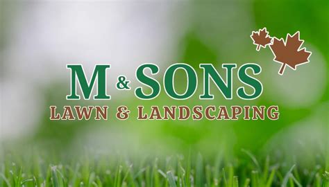 M And Sons Lawn Care