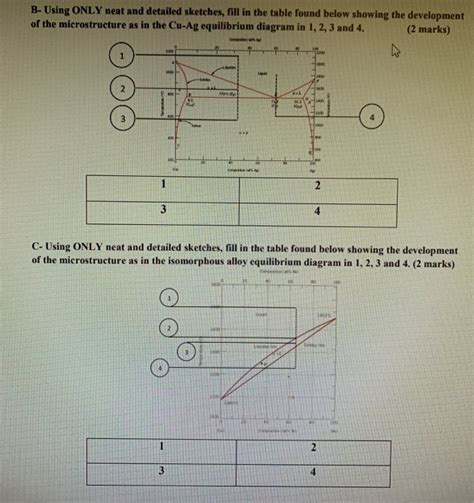 Solved B Using Only Neat And Detailed Sketches Fill In The