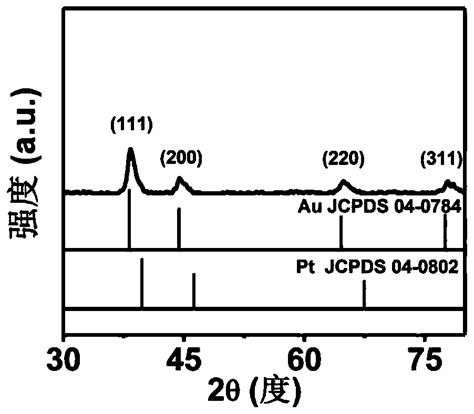 Preparation Method And Application Of Gold Platinum Composite Nanometer Diagnosis And Treatment