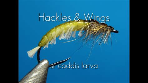 Fly Tying Sr Caddis Larva Hackles And Wings Youtube
