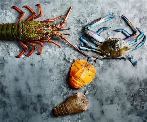 Different Types Of Crustaceans Explained