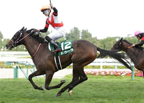 【pog】アスクビートルズ初陣vを意識 母はg1・3勝ストレイトガール（栗東発） 競馬ニュース Netkeiba
