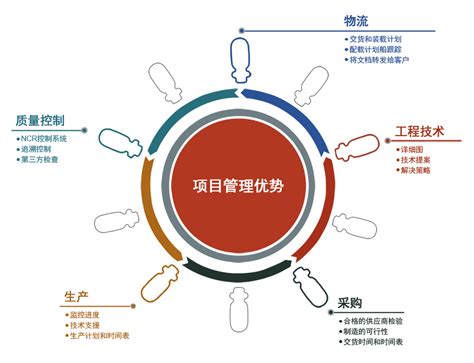 项目管理 长江三星能源科技股份有限公司