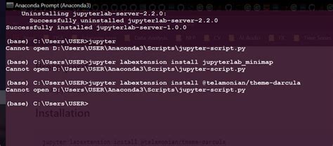 cannot open d users user anaconda3 scripts jupyter script py while