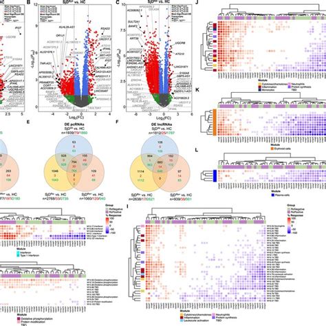 protein coding pc rnas and long non coding lnc rnas are download