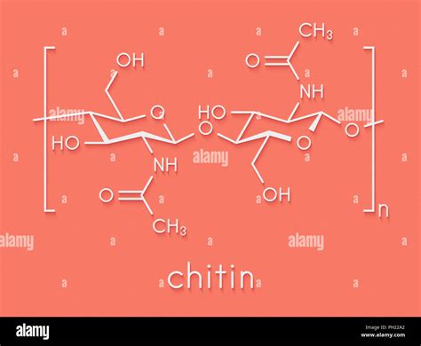 Chitin Chemical Structure Chitin Is A Polymer Of N Acetylglucosamine And Is Present In The