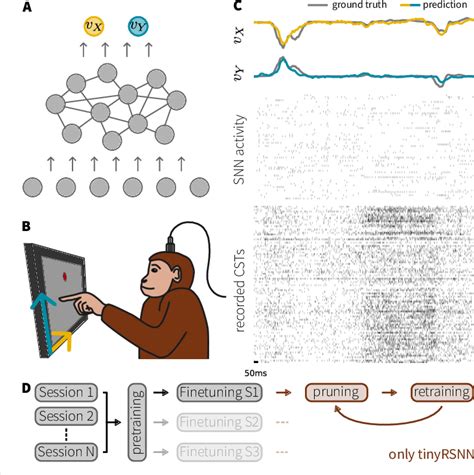 Figure 1 From Decoding Finger Velocity From Cortical Spike Trains With Recurrent Spiking Neural