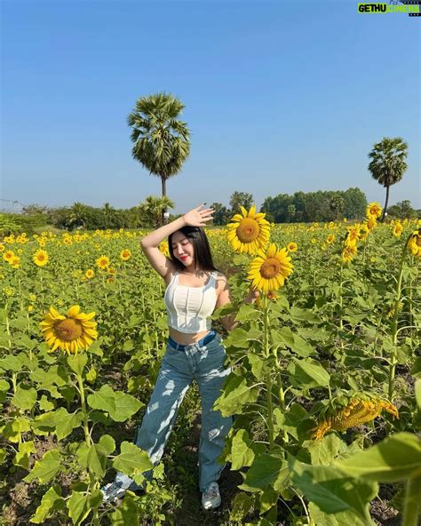 Actress Hsu Eaint San Hd Photos And Wallpapers August 2025 Gethu Cinema