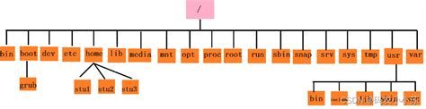 Linux 基本知识入门 技术分享 云服务器