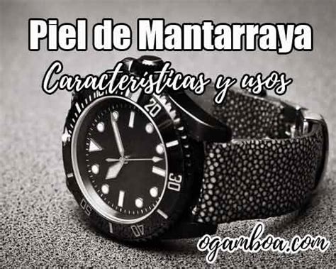 ᐈ】piel De Cocodrilo Características Usos Y Tipos