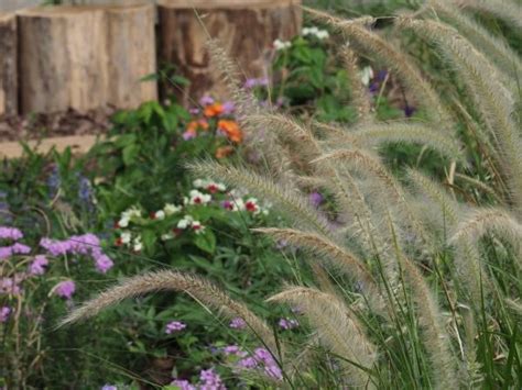 龙岗将新建15座花园！地址澎湃号·政务澎湃新闻 The Paper