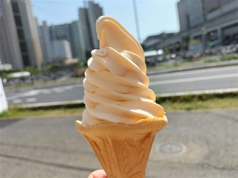 柏の葉キャンパス駅徒歩3分 たまごのお店 むこたま柏の葉店を初訪問！ 店舗限定 焼きたてバウムとむこたまソフトをいただく！