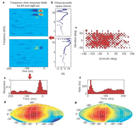 Predicting Spatial Responses From Frequency ®ltering Characteristics
