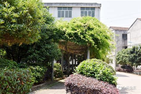 舟山塘头村 山塘头村 舟山家尖 第16页 大山谷图库