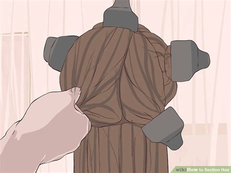 3 Ways To Section Hair WikiHow