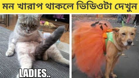 পারলে না হেসে সম্পূর্ণ ভিডিওটি দেখুন চ্যালেন্জ Youtube