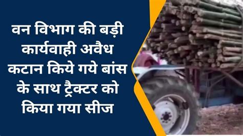 चंदौली वन विभाग की बड़ी कार्यवाहीअवैध बांस लदे ट्रैक्टर को किया गया