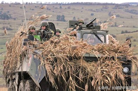 羅馬尼亞陸軍第2步兵旅 每日頭條