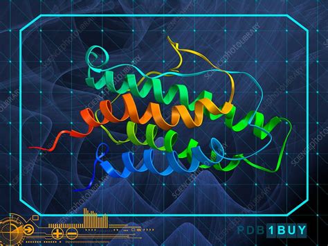 Erythropoietin Hormone Molecule Stock Image C035 8626 Science Photo Library