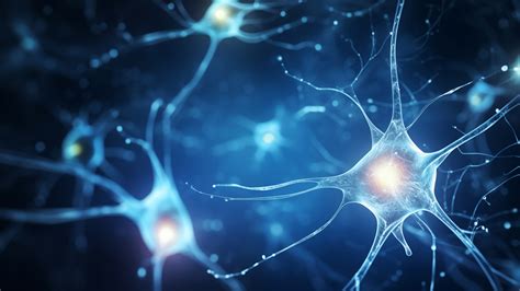 Scientists Grew Mini Brains From The Cells Of Multiple People