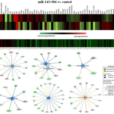Microarray And Rna Sequencing Analysis Of The Cell Cycle Pathway Download Scientific Diagram